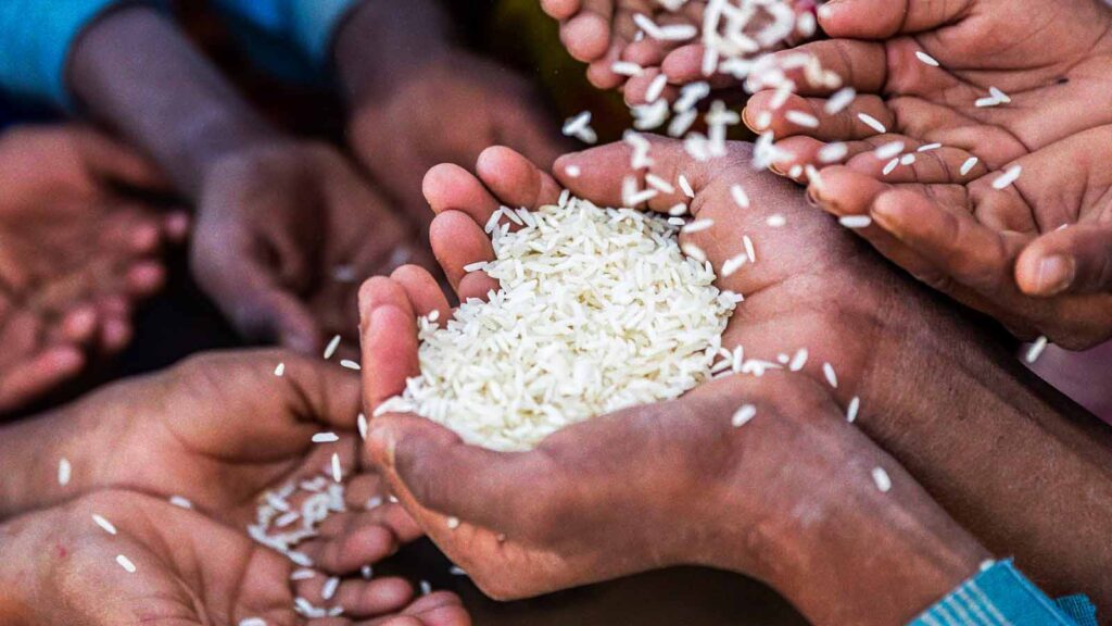 Como acabar com a fome em um mundo onde não falta comida – parte 2 ...