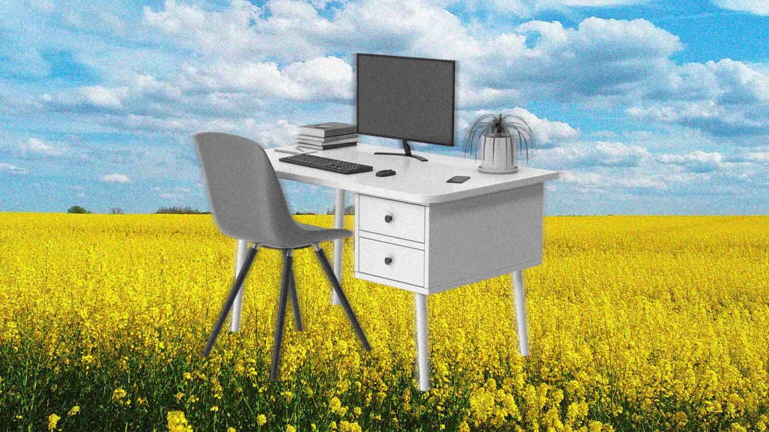 5 elementos essenciais para um ambiente de trabalho realmente inclusivo ...