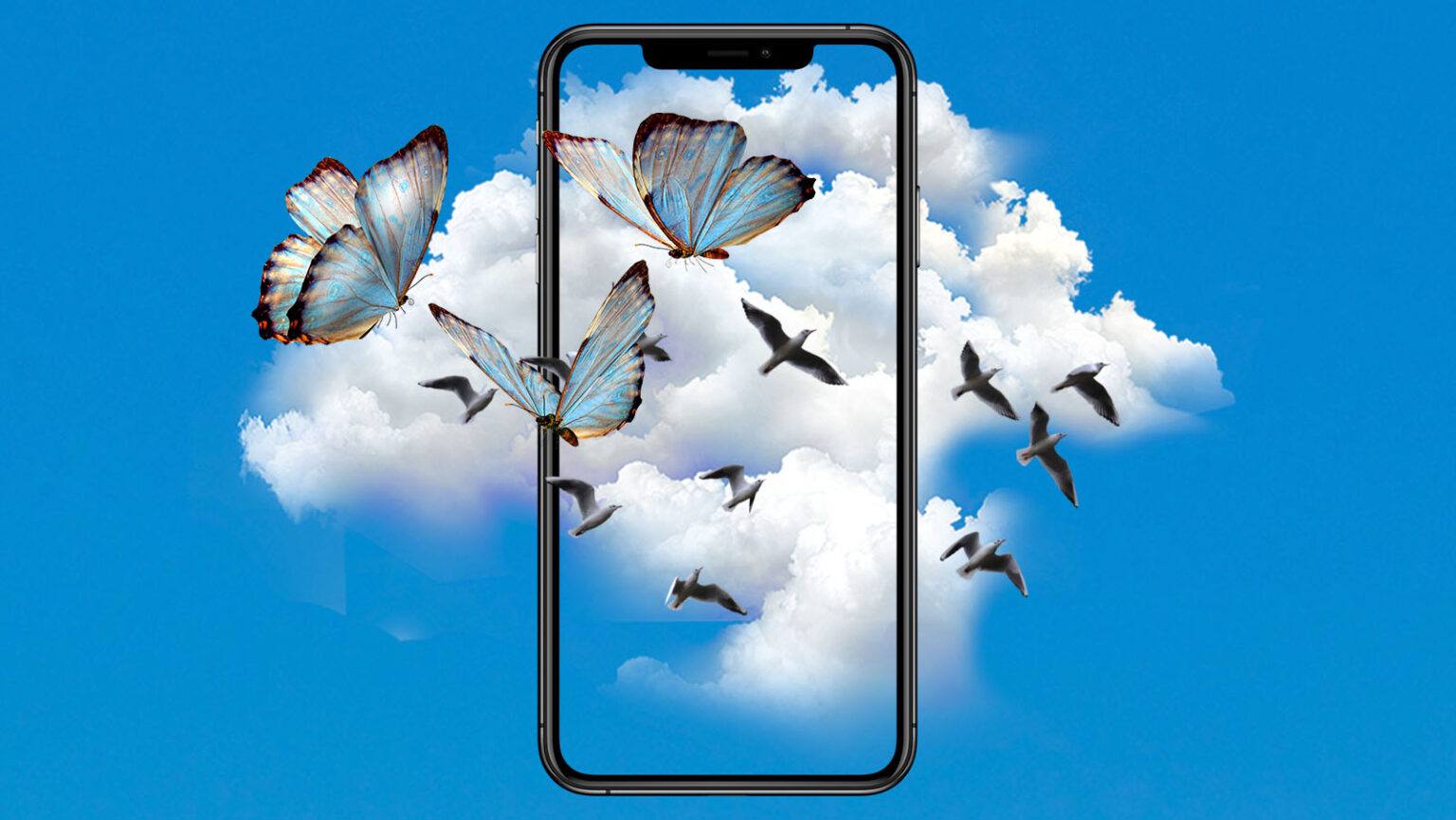 Vida sem Twitter: este app junta seus feeds do Bluesky, Threads e ...