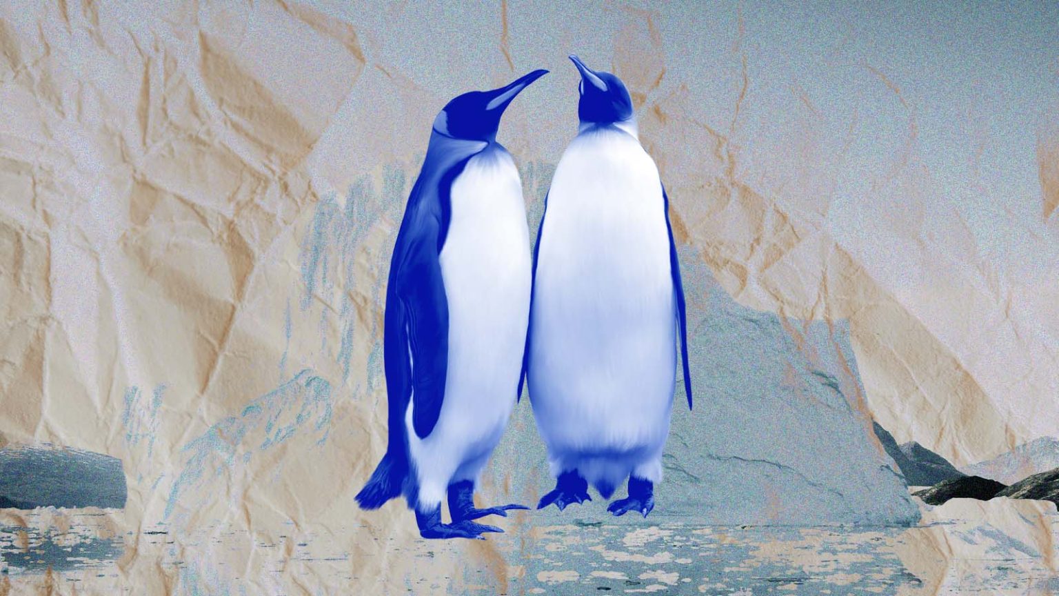 Como as fezes de milhões de pinguins podem ajudar a salvar o gelo da Antártica | Fast Company Brasil